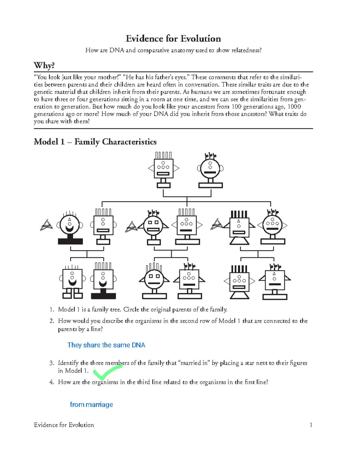 Evidence for Evolution Worksheet - Evidence for Evolution 1 Evidence ...