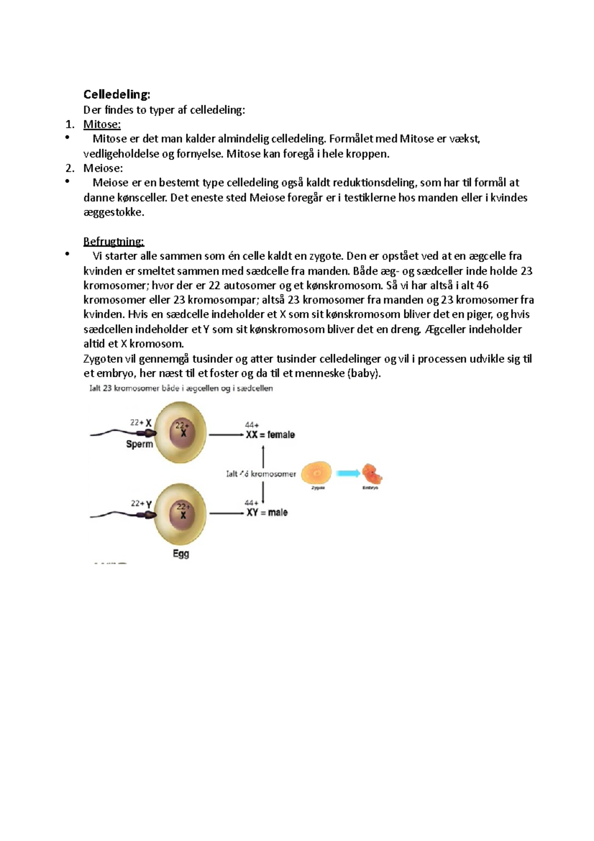 Celledeling - Mitose og Meiose - Celledeling: Der findes to typer af celledeling: 1. Mitose ...