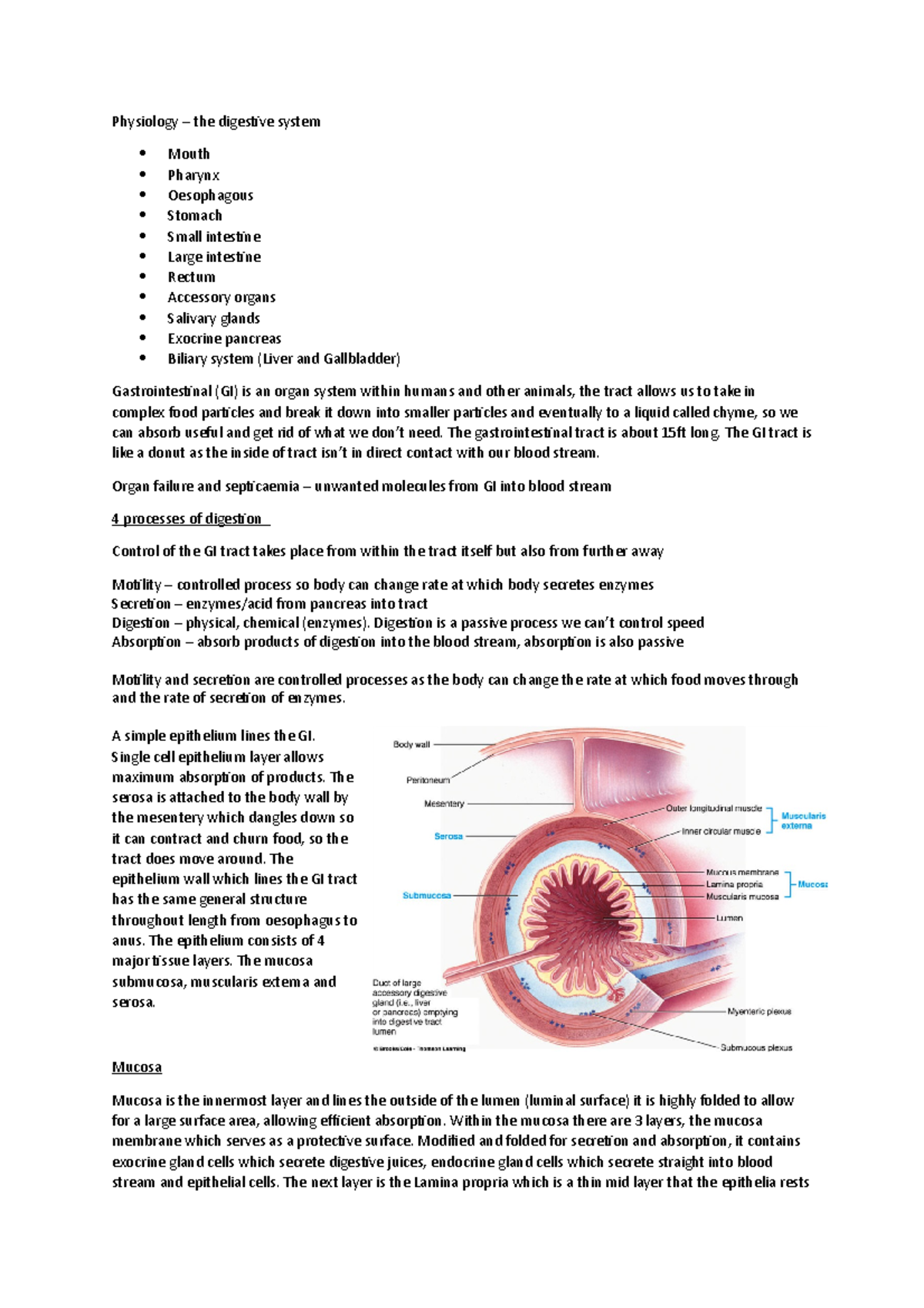 Lecture 1 - digestive system - Physiology – the digestive system Mouth ...