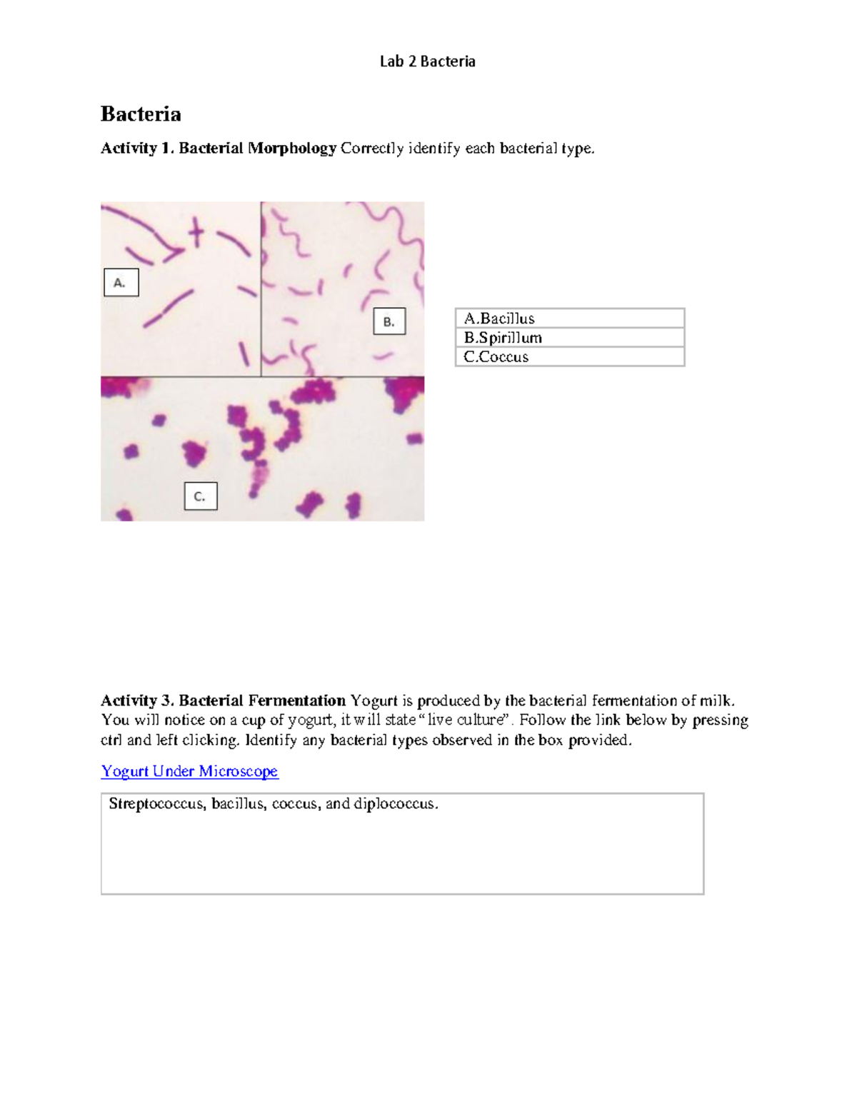 2 Bacteria - Bacteria Activity 1. Bacterial Morphology Correctly ...