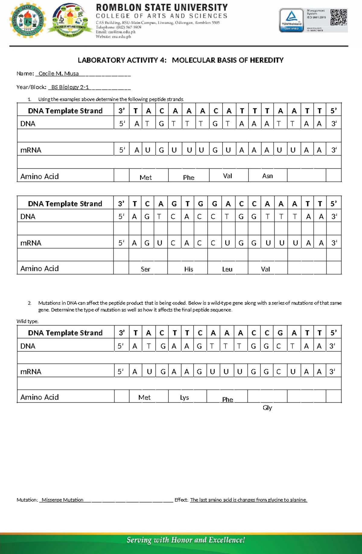 Activity-4-Transcription-and-Translation Genetics lab - LABORATORY ...