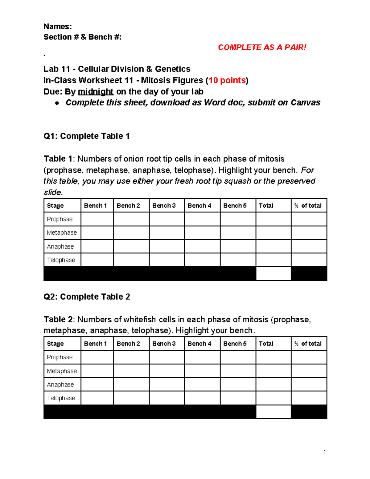 Lab 11 In-Class Worksheet 11 - Mitosis Figures ed-1 - Names: Section ...