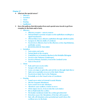 Exam II Review Sheet - Review Sheet – A&P Lecture Exam II not an all ...