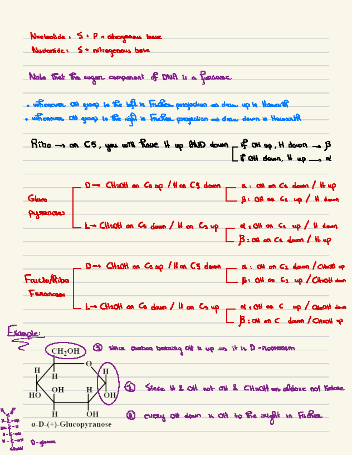Biochem Notes - organic compounds - Nucleotide : S + p + nitrogenous ...