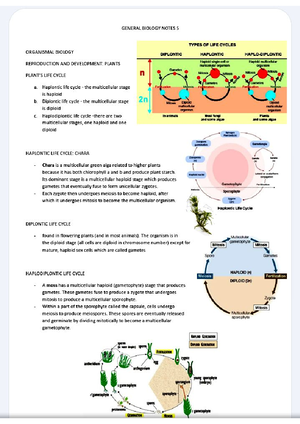 Lesson 1 Cell-Cycle-Mitosis - Cell Cycle: Mitosis Lesson 1 On THE CELL ...
