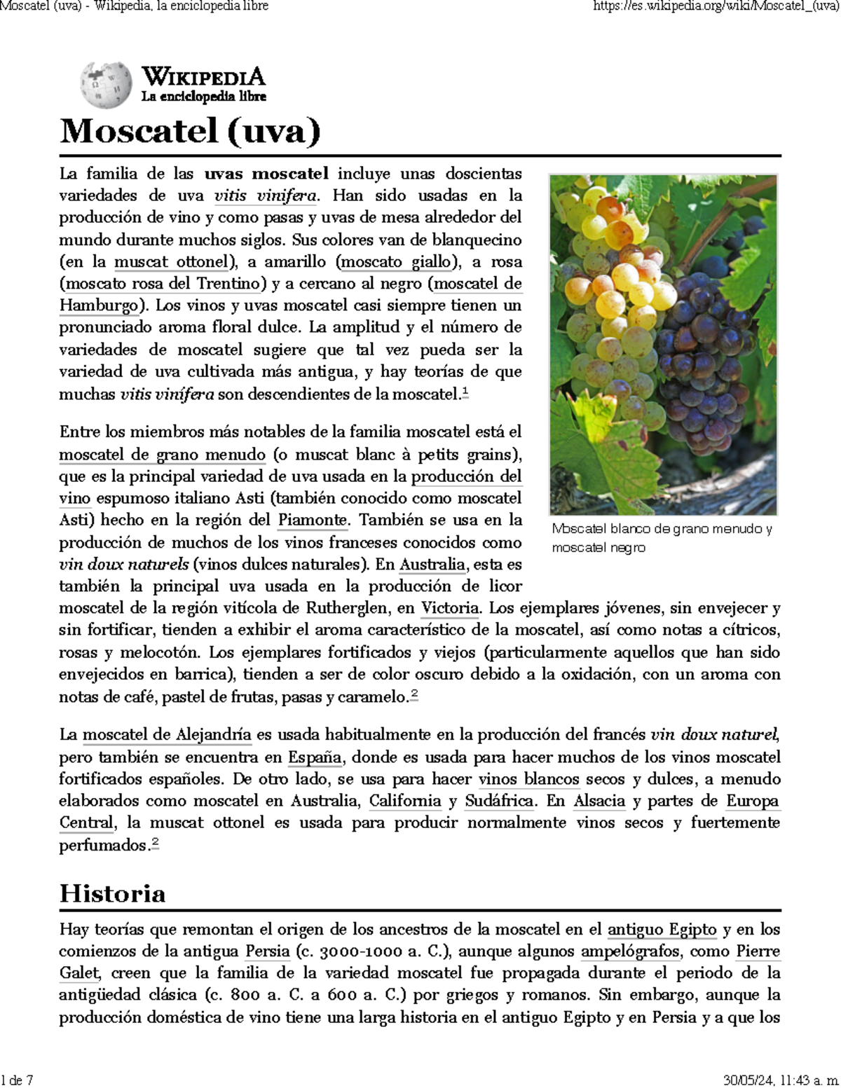 Moscatel (uva) - Wikipedia, la enciclopedia libre - Moscatel blanco de ...