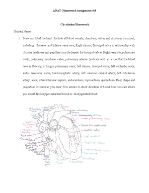 ANAT 1 Homework Assignment: The Brain - ANAT: Homework Assignment # 9 ...