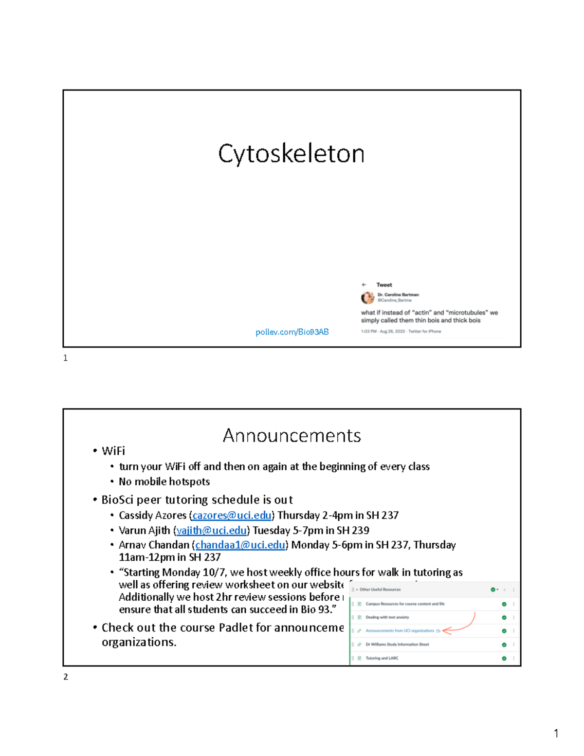 06 Class cytoskeleton notes-4 - Cytoskeleton pollev/Bio93AB 1 ...