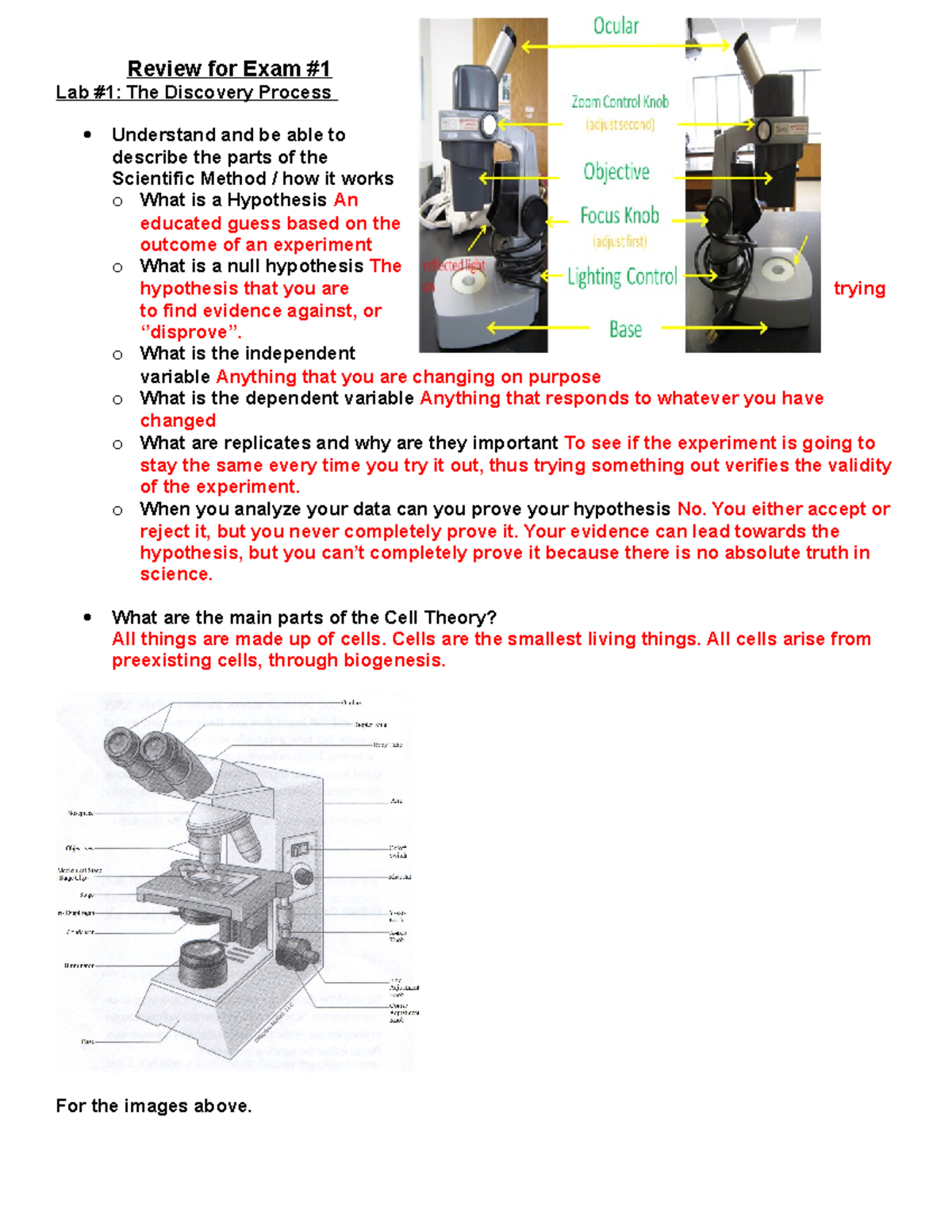 Summary - Review for exam 1 - Review for Exam Lab The Discovery Process ...