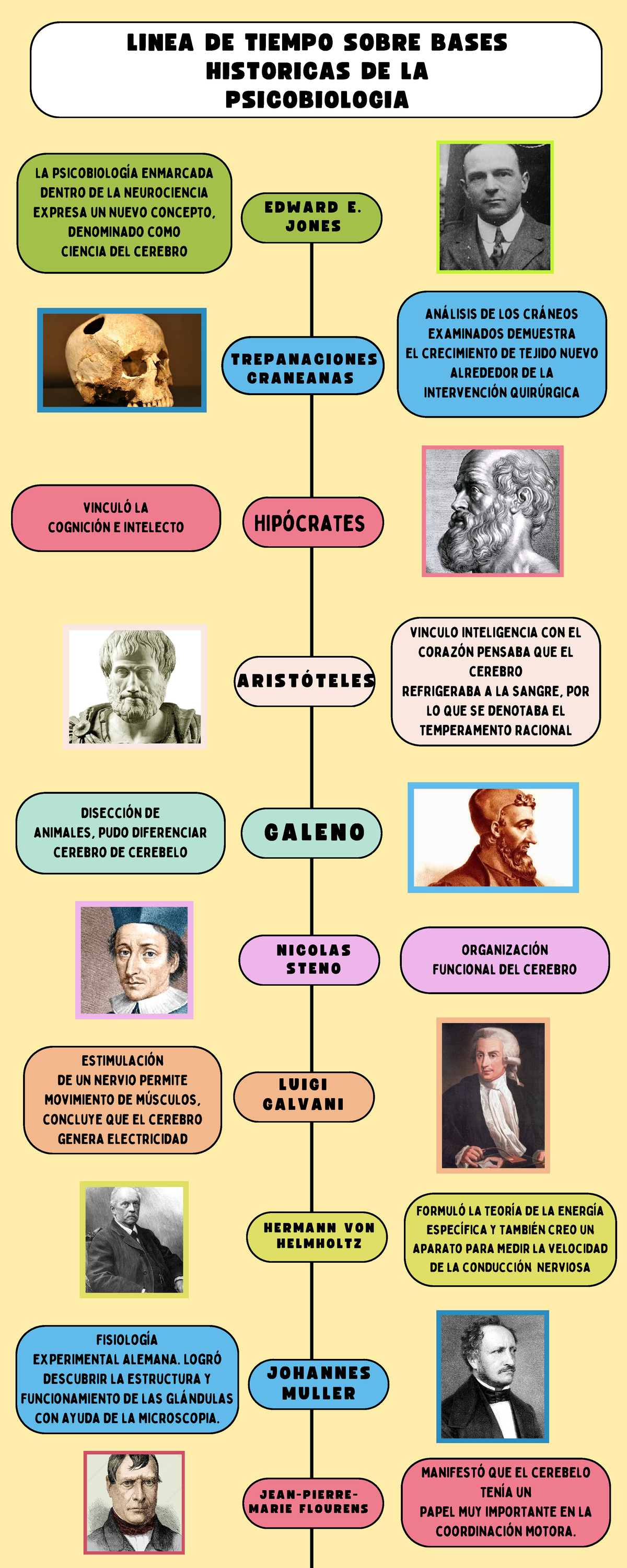 Infografía Línea del Tiempo Timeline Historia Moderno Creativo ...