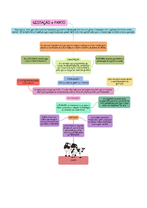 Raças domésticas - mapa mental - Zootecnia - Studocu