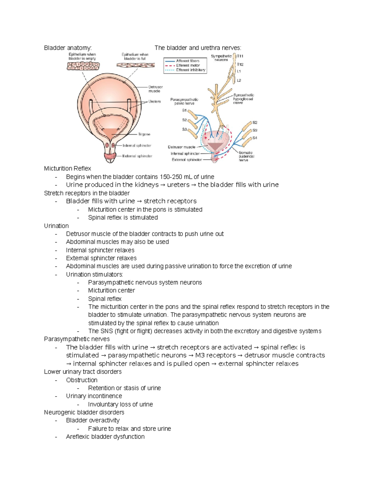 Copy of Disorders of the bladder and lower urinary tract (Ch. 27 ...