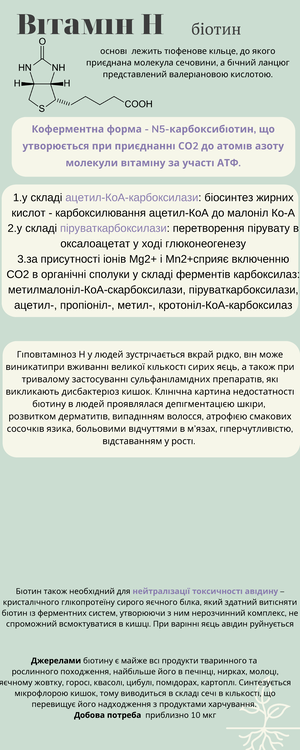Вітамін B1 Будова функції властивості вітамінів Кbф5d 5afa4 фbd 4 F4 A48фbeф4f Т Ф Т4 A