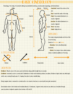 Functional Anatomy 17 - Posture Posture Relative arrangement of body ...