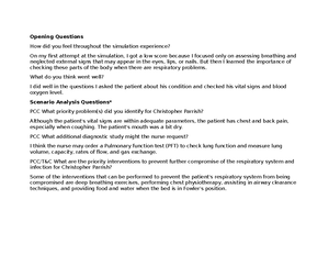 Vsim about Sara Lin - Guided Reflection Questions Opening Questions How ...