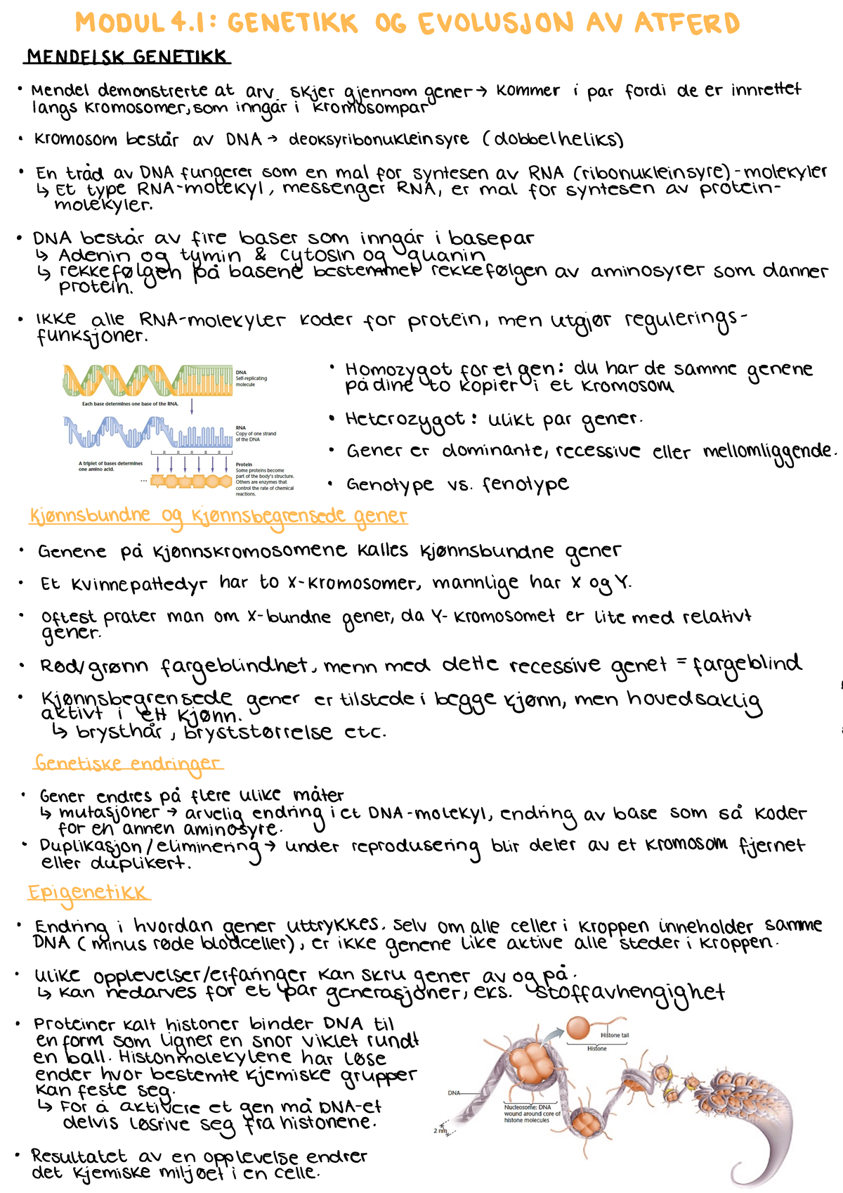 Kap. 4 - Genetikk Og Evolusjon Av Atferd - M ODUL4 . 1 : GENETIKK OG EVOLUSION AV ATFERD ...