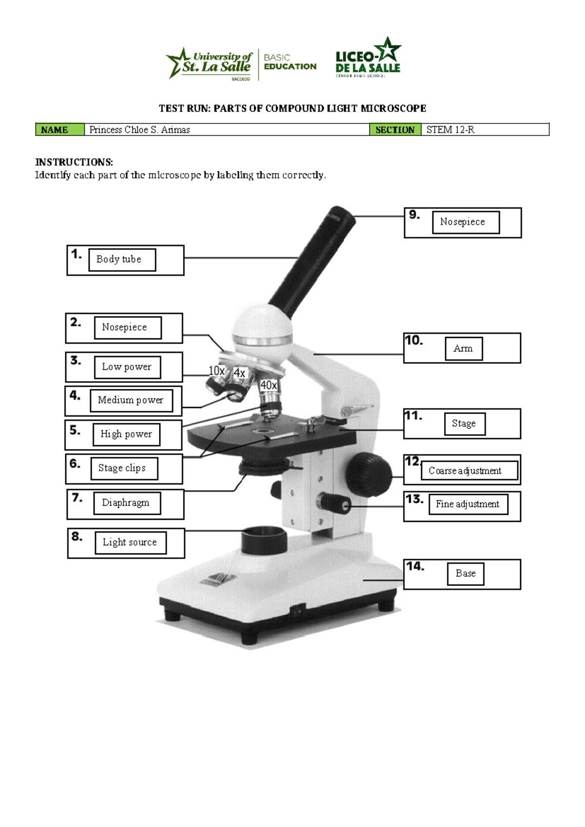 TEST RUN Parts OF Compound Light Microscope - Nursing - TEST RUN: PARTS ...