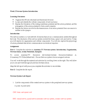 [Solved] Name the two major divisions of the nervous system - Anatomy ...