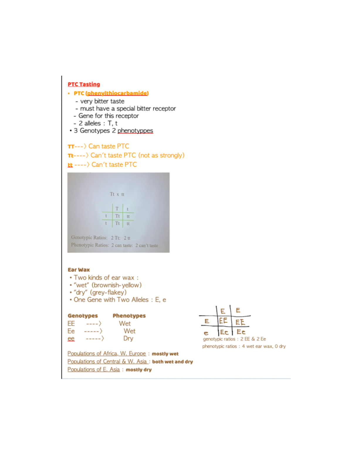 Gene notes - ANTHRO 2B - Studocu