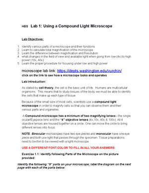 Lab 4 - Skeletal system - HBS LAB 4: SKELETAL SYSTEM LAB OBJECTIVE ...