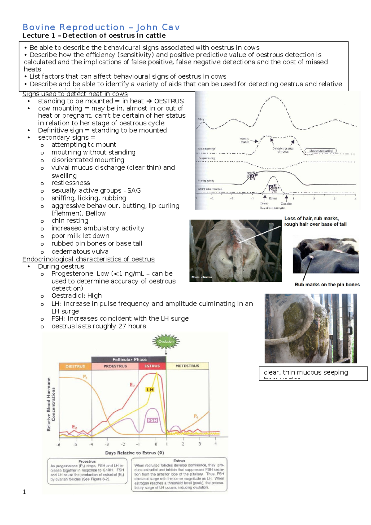 Bovine Reproduction - Cav - Lecture 1 – Detection of oestrus in cattle ...