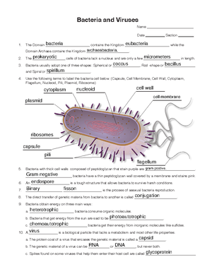 Genetics Wksh - emind lab - Genetics and Patterns of Inheritance Name ...