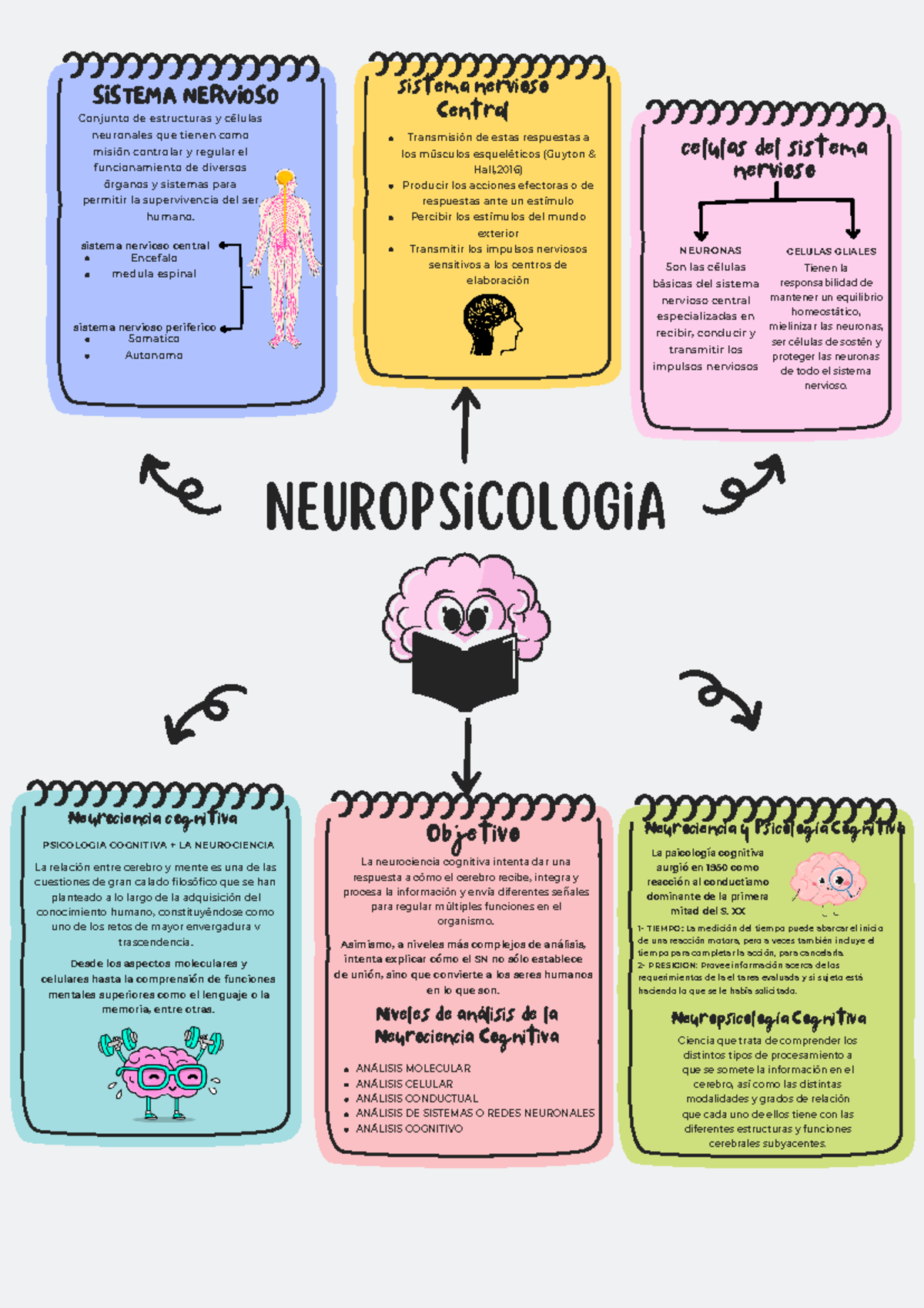 Neuropsicologia - Resumen Neuropsicología - celulas del sistema ...
