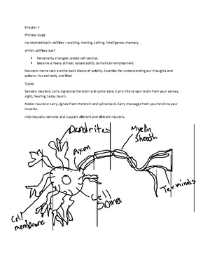 [Solved] According to cognitive dissonance theory we come to love the ...