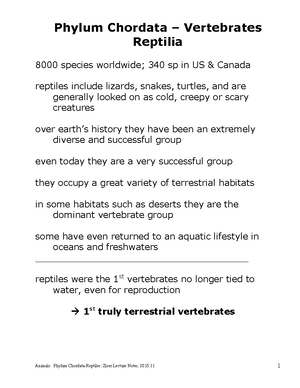 Phylum Loricifera - Outline summary - Animals: Loricifera; Ziser ...