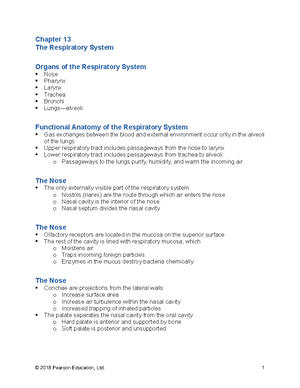Chapter 15: Urinary System - Chapter 15 The Urinary System Functions of ...