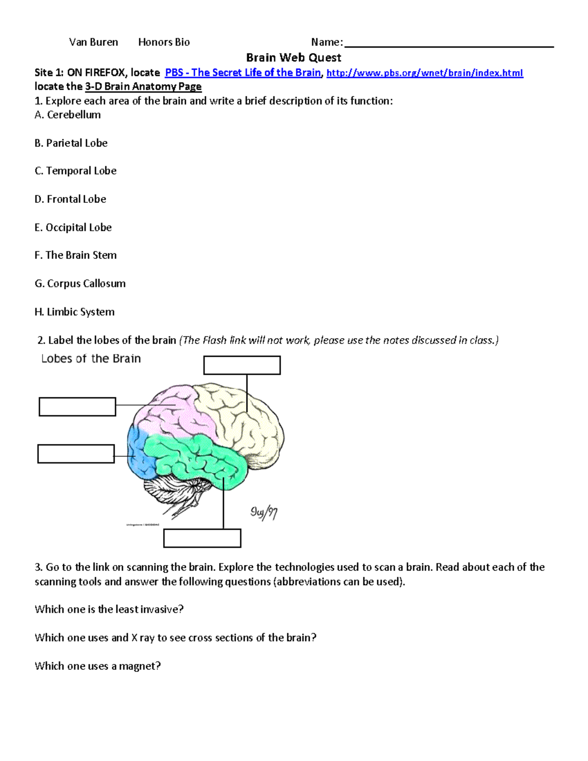 Brain Webquest-1 - about the heart - Van Buren Honors Bio Name: Brain ...