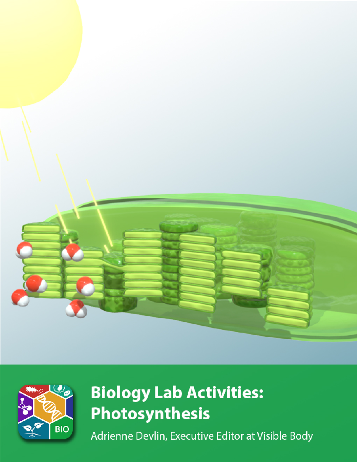 Visible-biology-site-license-lab-activities photosynthesis student ...