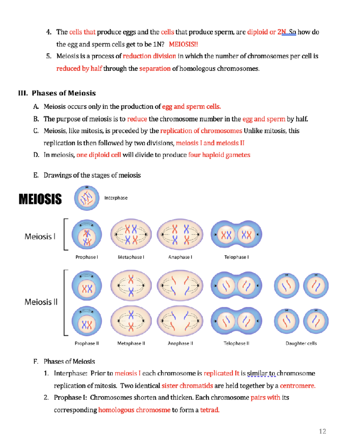 Cell Growth and Division (11) - Studocu