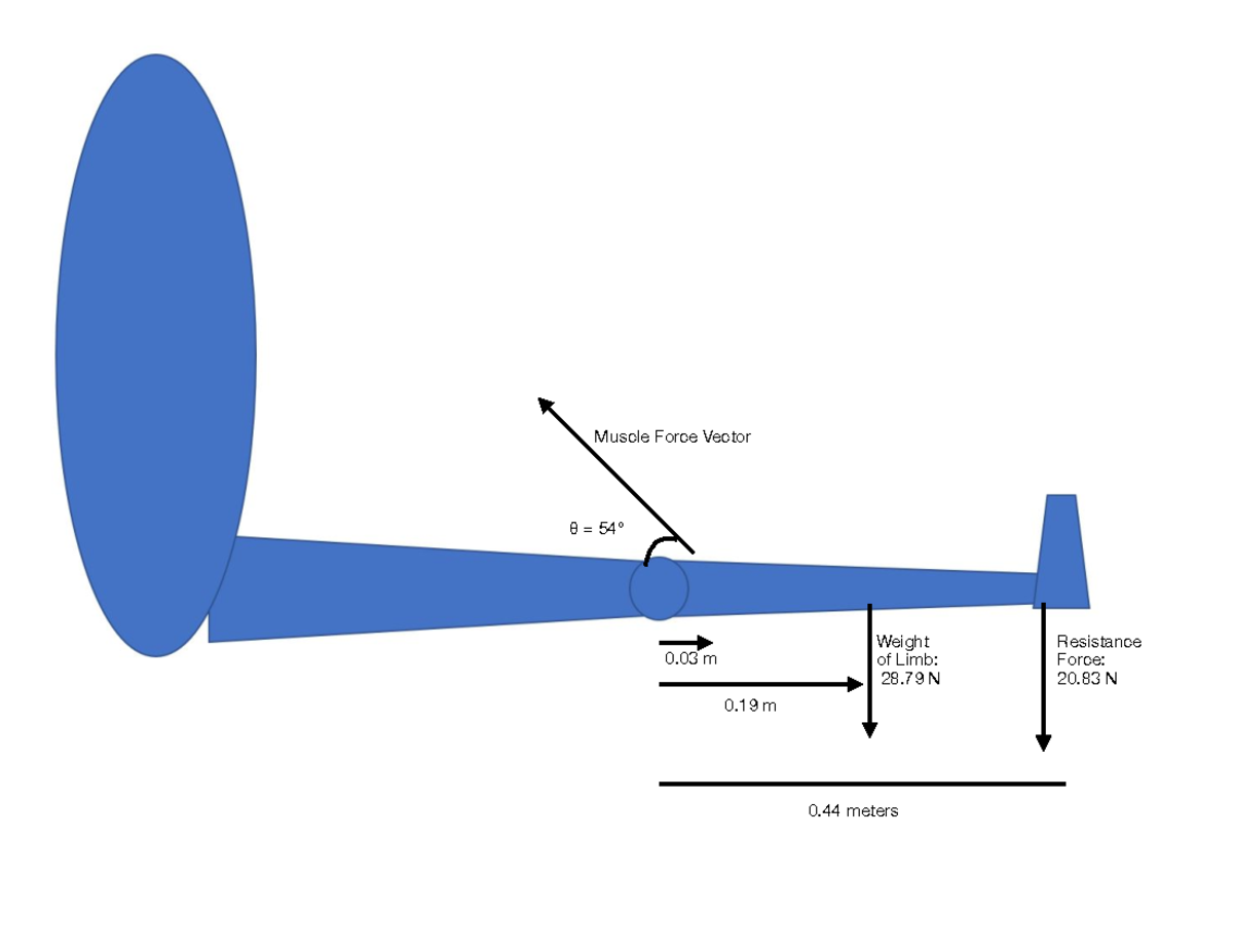 Biomechanics diagram - For one of the labs - KIN 4520B - 0 meters ...
