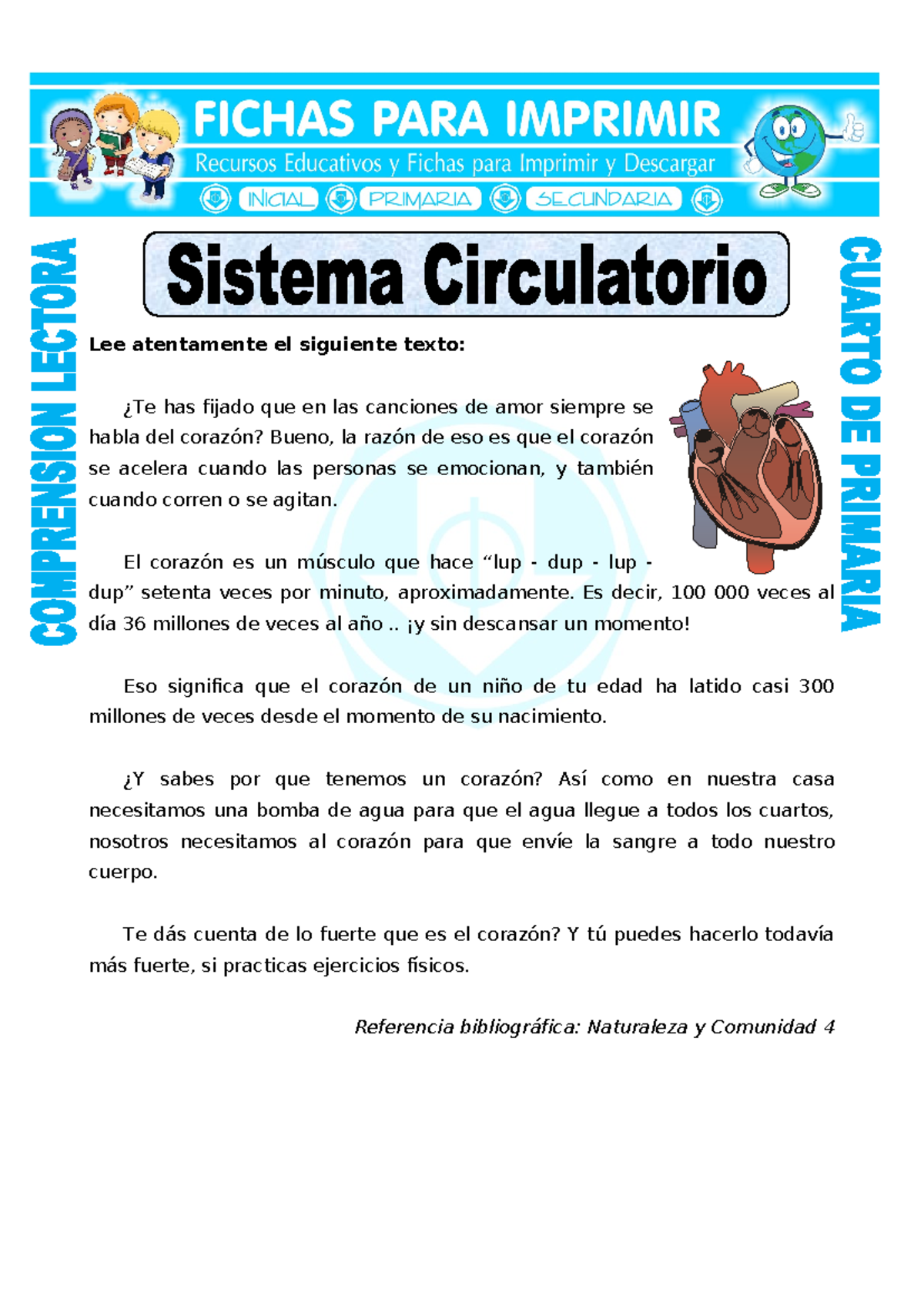 Ficha Sistema Circulatorio para Cuarto de Primaria - Lee atentamente el siguiente texto: ¿Te has ...