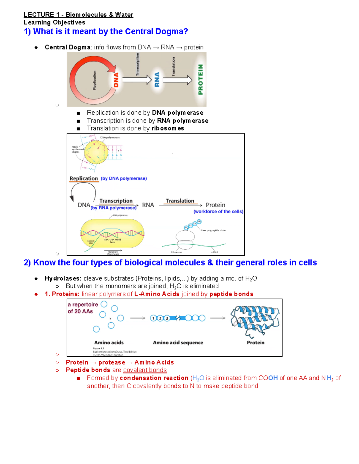 Lecture 1 - Biomolecules & Water - LECTURE 1 - Biomolecules & Water ...