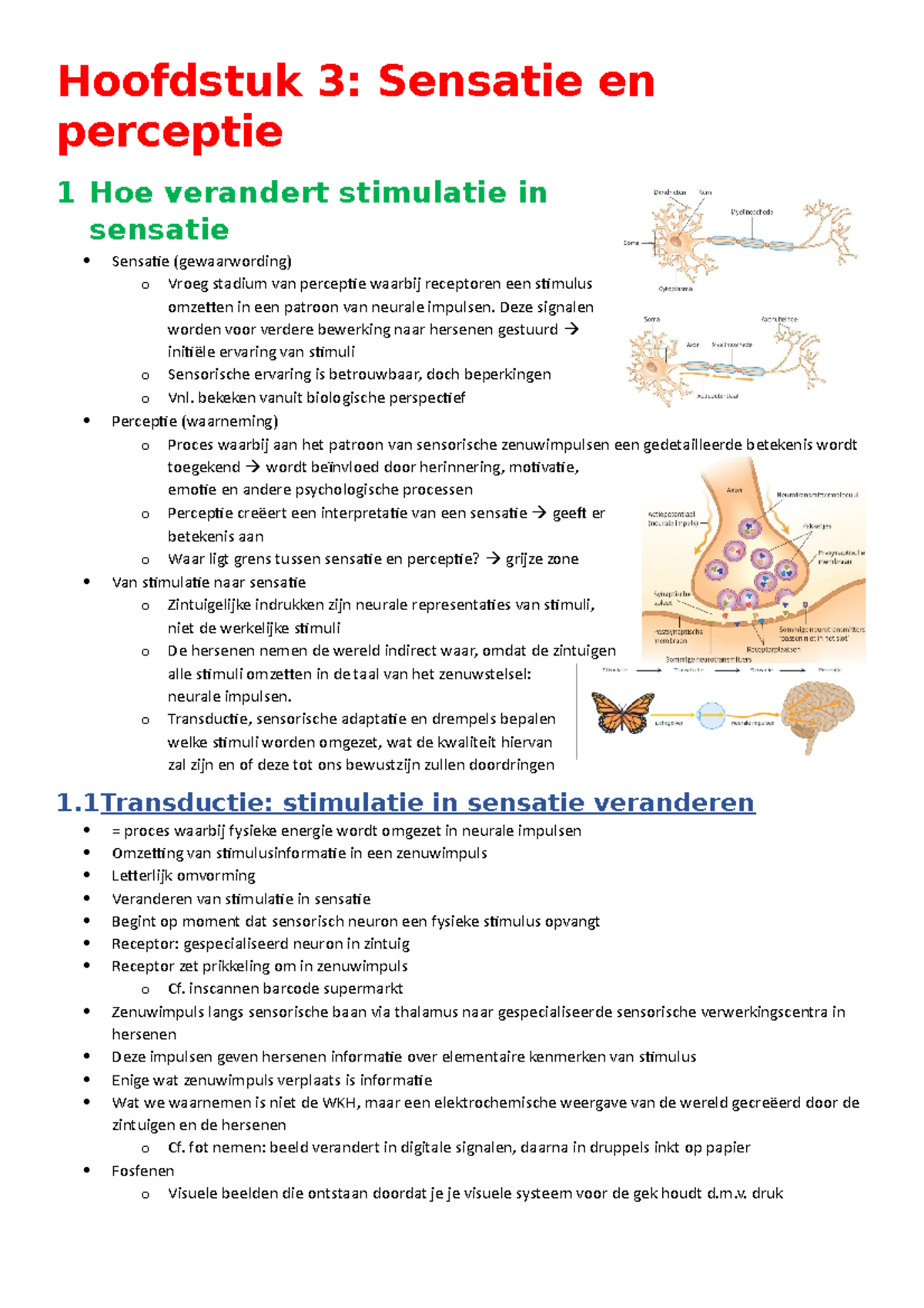 Hoofdstuk 3 Sensatie en perceptie - Deze signalen worden voor verdere ...