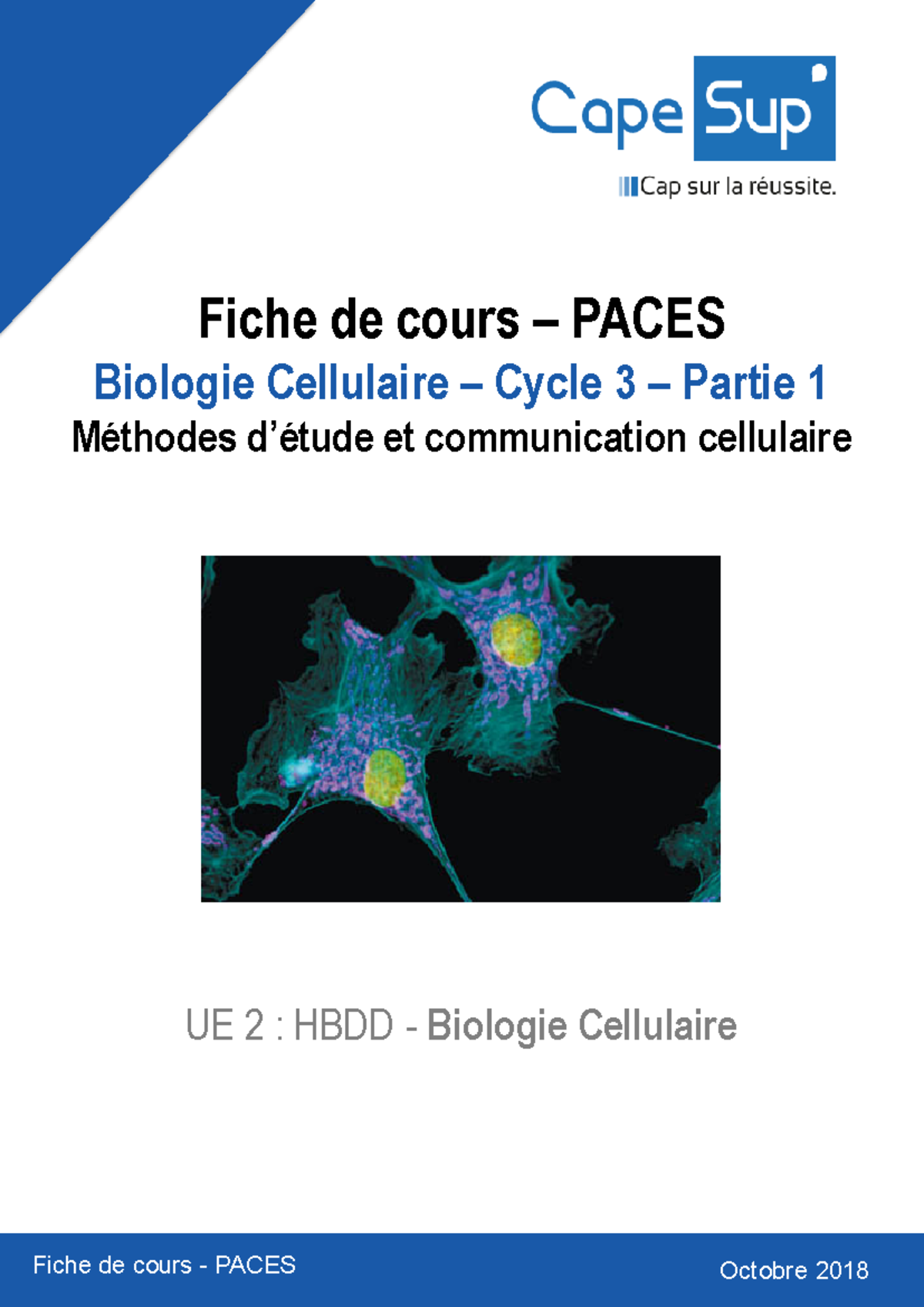 Methodes Biocell - Fiche de cours - PACES Octobre 2018 UE 2 : HBDD ...