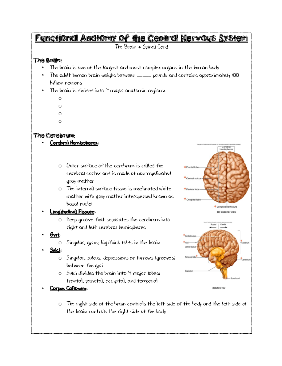 Functional Anatomy of the Central Nervous System Notes-1 - Functional ...