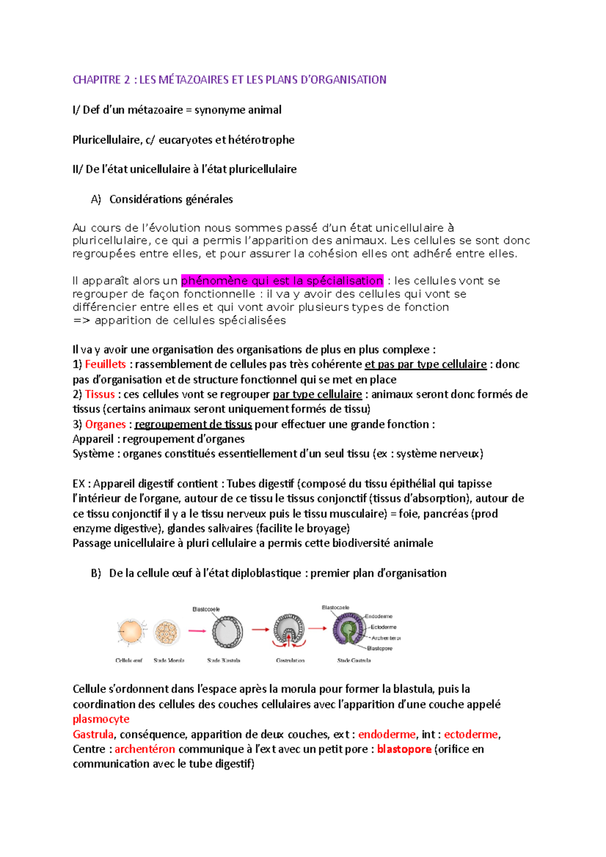 CHAP2 métazoaires BOA - Semestre 1 - CHAPITRE 2 : LES MÉTAZOAIRES ET LES PLANS D’ORGANISATION I ...