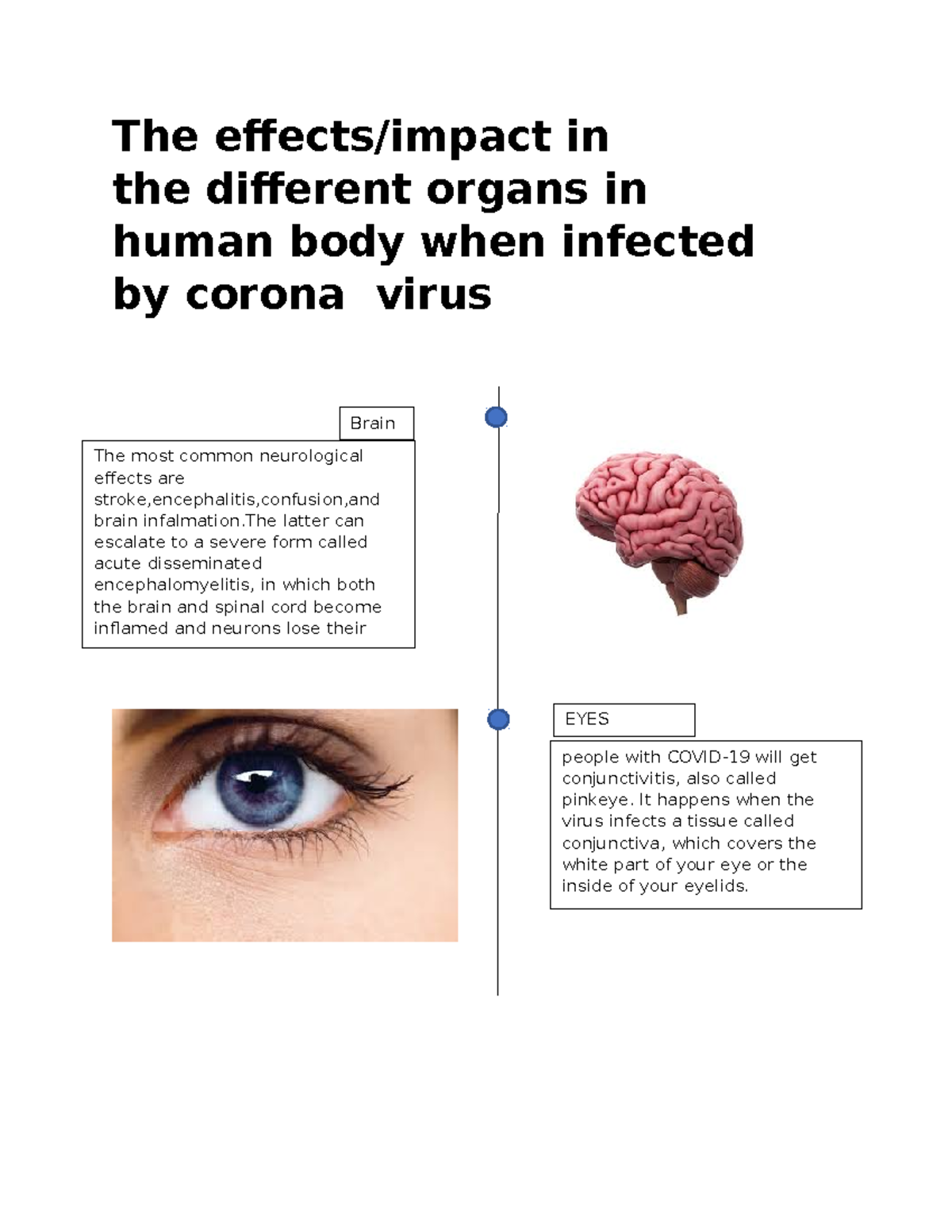 Olayres Emerson A - esaay - The effects/impact in the different organs ...