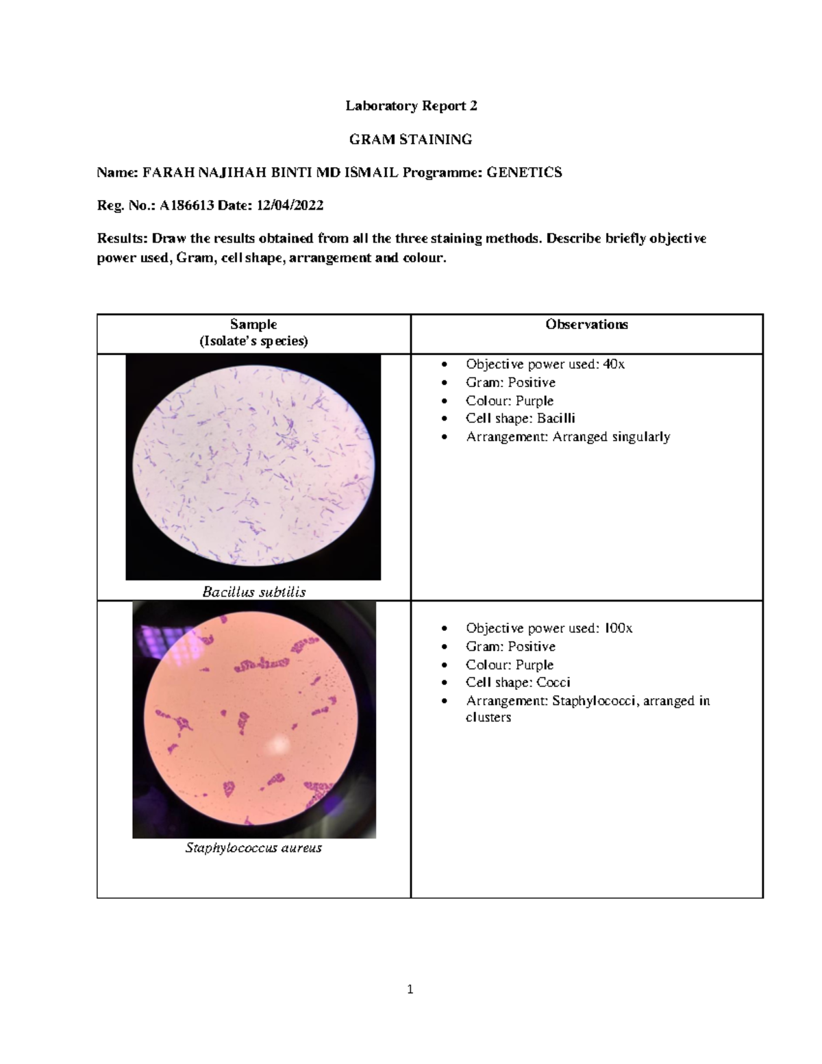 STBP1043 Lab 2 Gram staining Student report - 1 Laboratory Report 2 ...