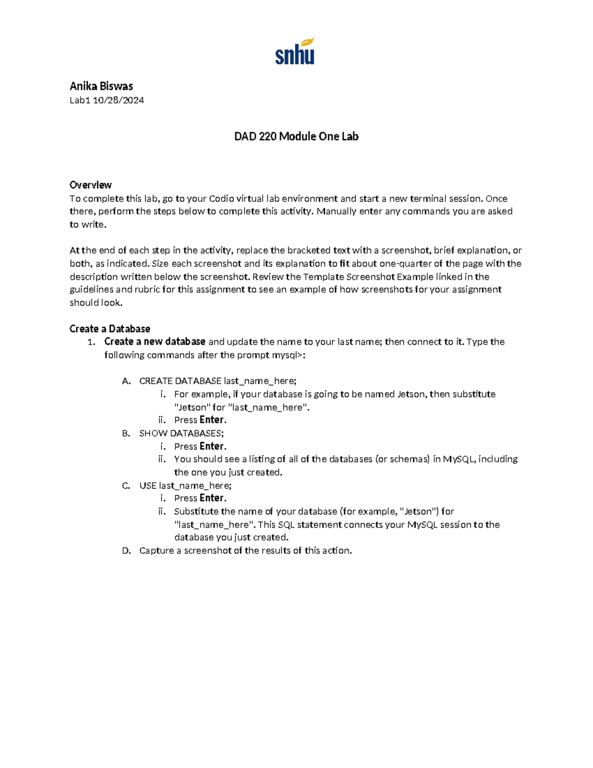 DAD 220 Module One Lab - assignment - Anika Biswas Lab1 10/28/ DAD 220 ...