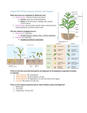 AS Biology Unit 2 notes (Edexcel) - AS Biology: Unit 2 notes Najla ...