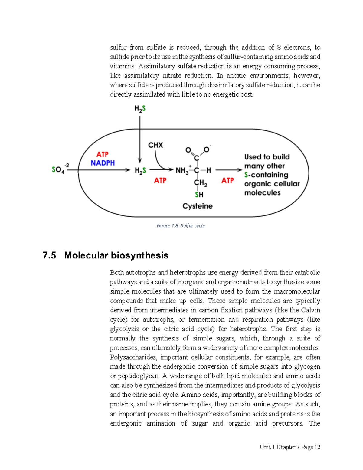 Chapter 7-page12 - lecture note - Unit 1 Chapter 7 Page 12 sulfur from ...