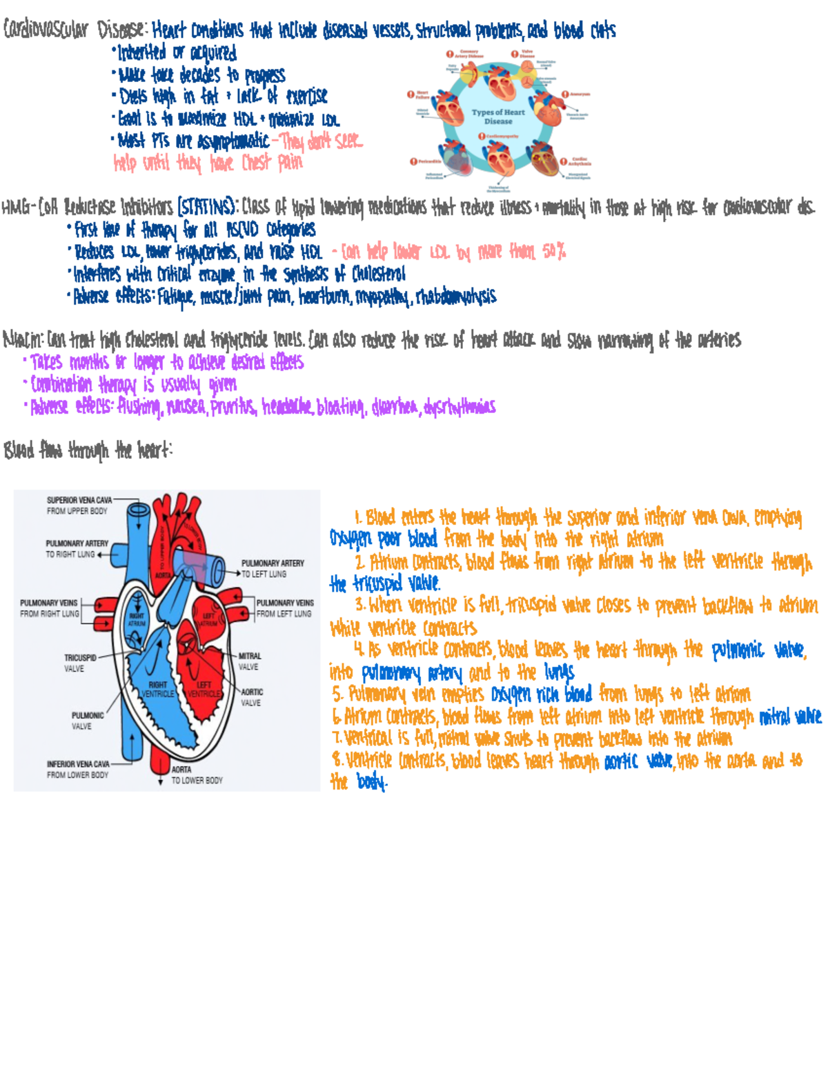 Pharmacology 2 notes for all systems - cardiovascular Disease : - Studocu