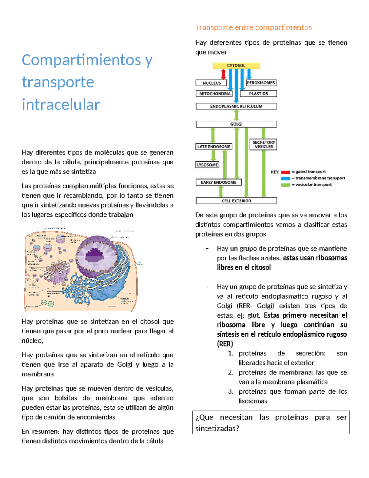Compartimientos y transporte intracelular - Compartimientos y ...