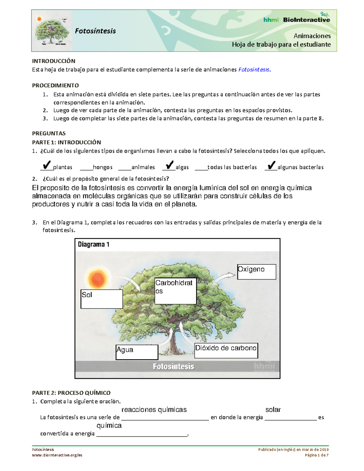 Biología-Fotosíntesis- Animaciones Hoja de trabajo-complementa la serie ...