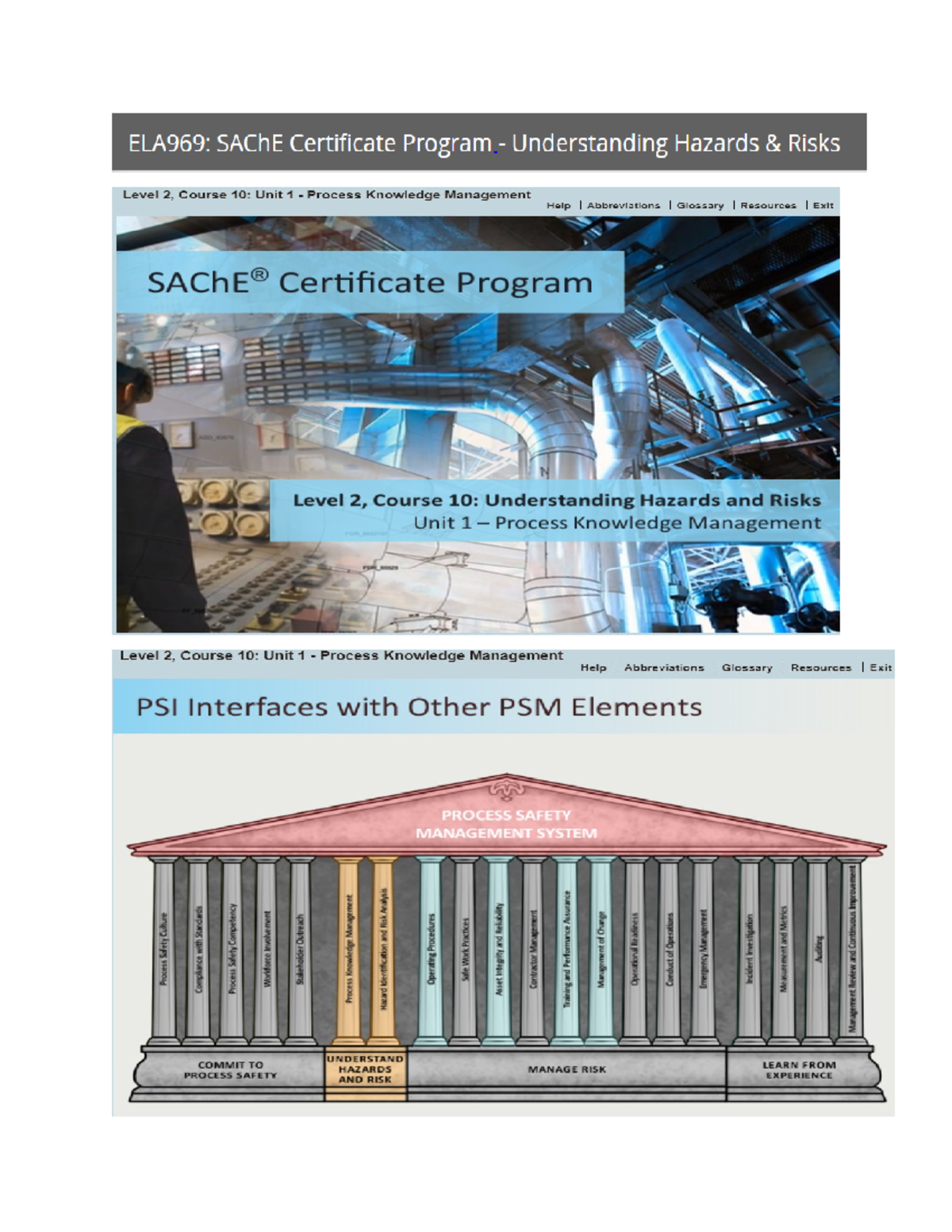 Understanding Hazards and Risk - ELA969: SAChE Certificate Program Understanding Hazards Risks ...