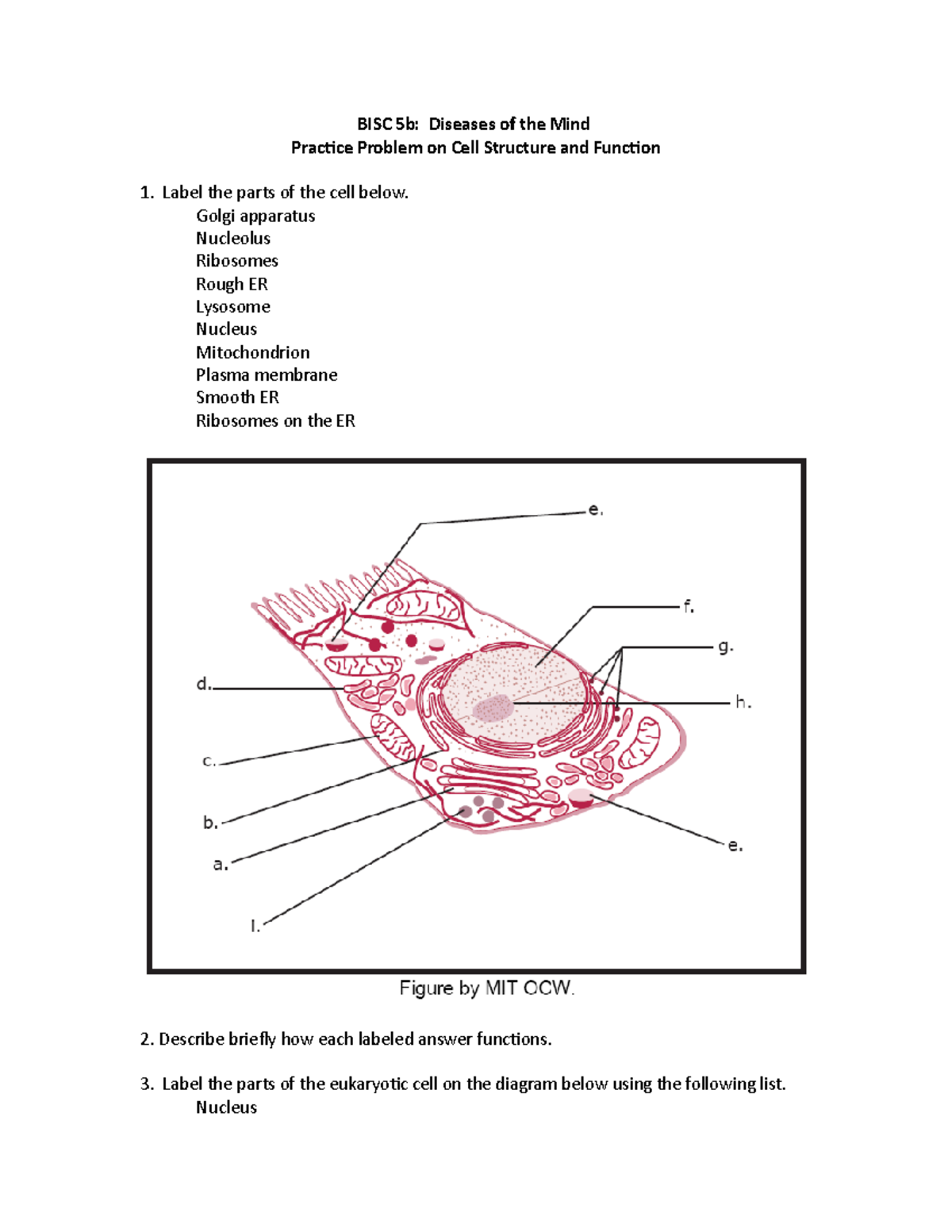 Problem 2 cellstructure - Practice Problem on Cell Structure and ...